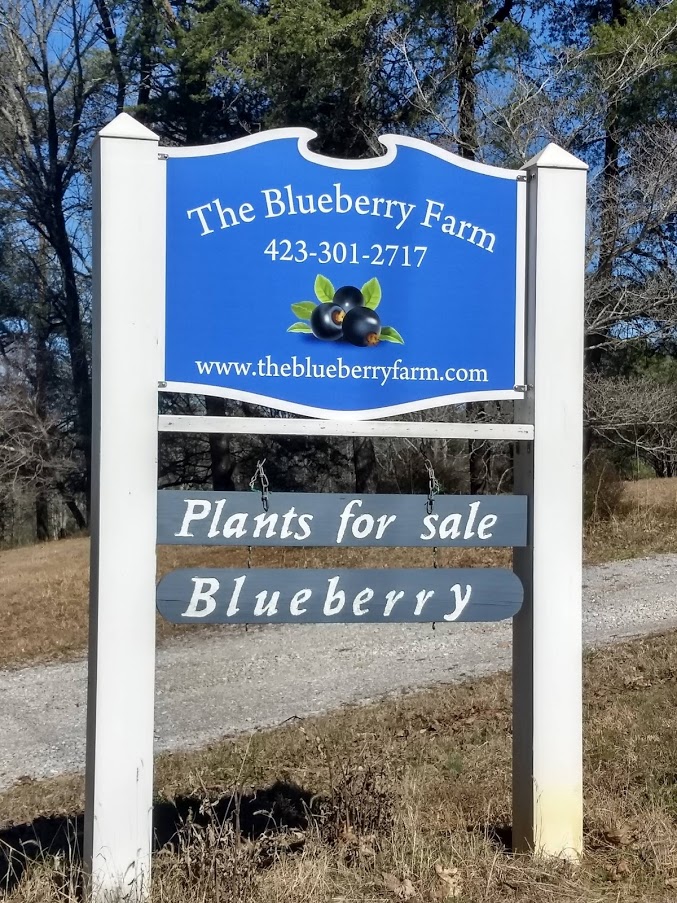 Visit Us – The Blueberry Farm